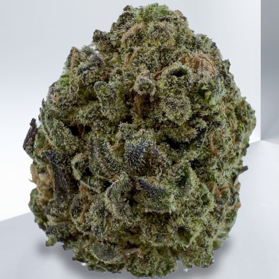 GREASY RUNTZ - Bathurst Lawrence Cannabis